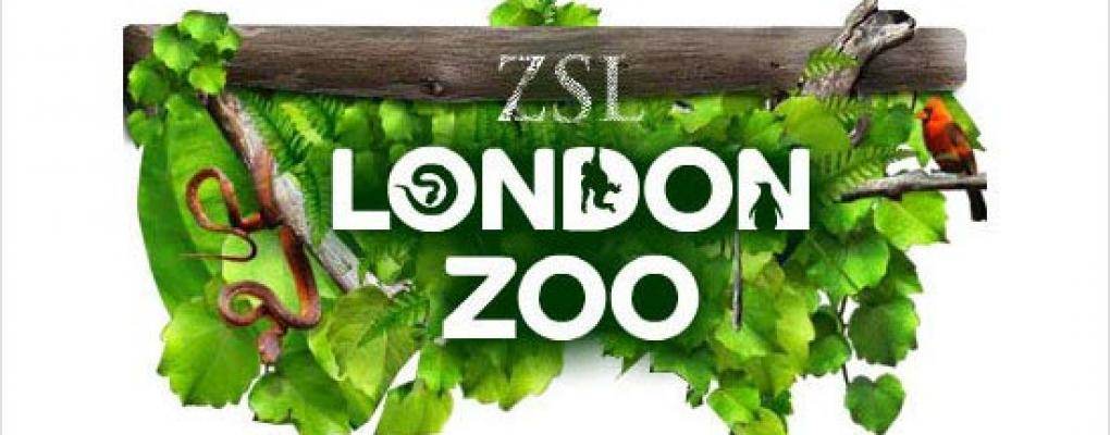 ZSL London Zoo | London Attraction Near Mercure Paddington